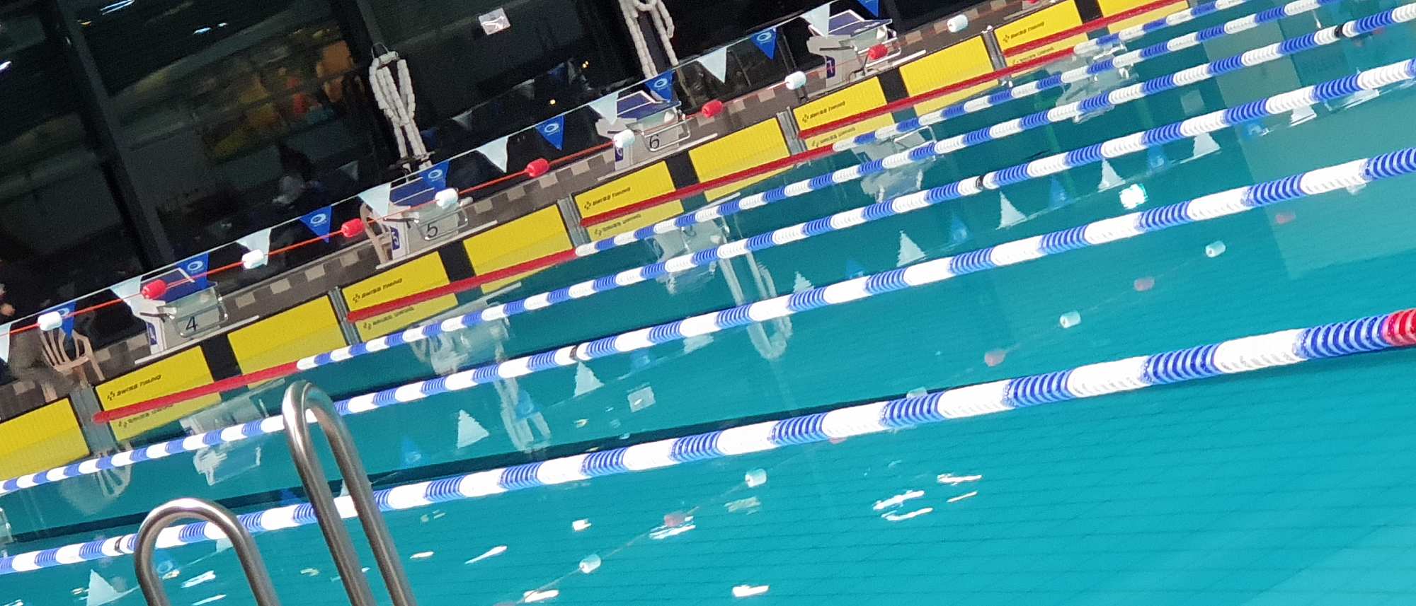 SV Blau-Weiß Bochum 1896 e.V.: NRW- und DSV-Kader starten erfolgreich ...